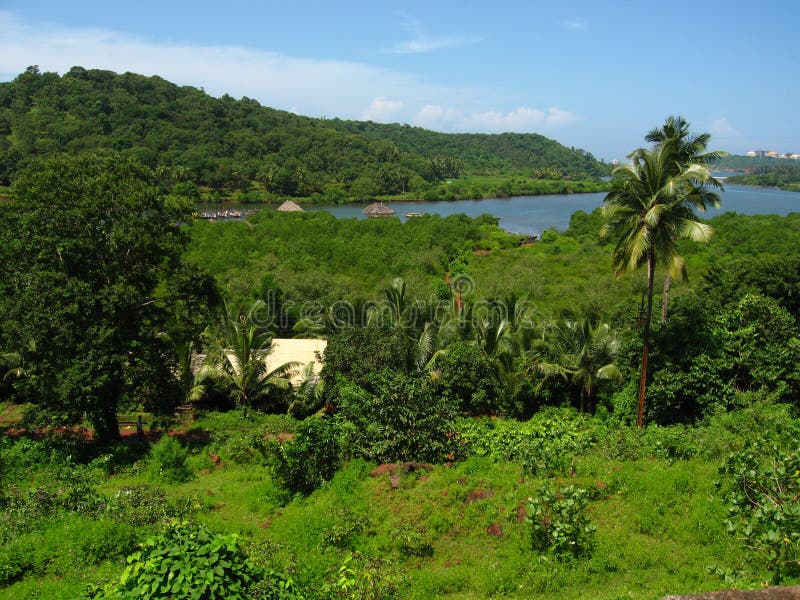 Green Indian countryside stock photo. Image of dwellings - 3285608