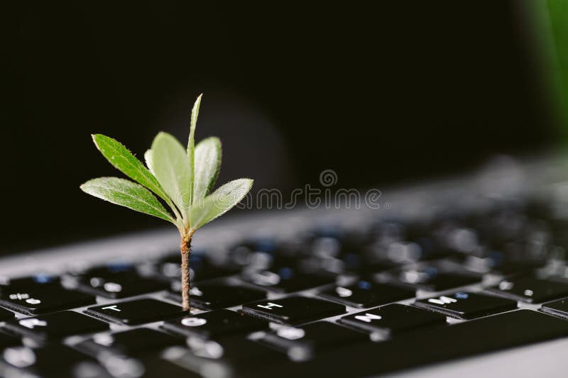 Green Information Technology. Environmentally Sustainable it. Copy ...