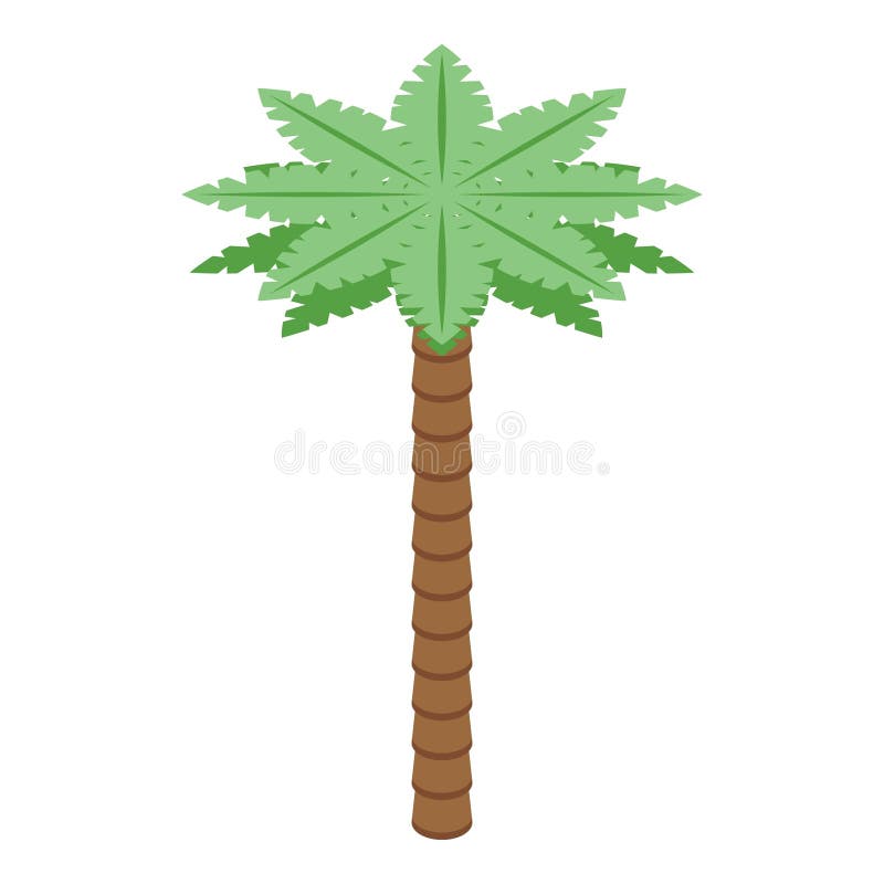 Green Isometric Palm Tree Growing in Summer Stock Vector - Illustration ...