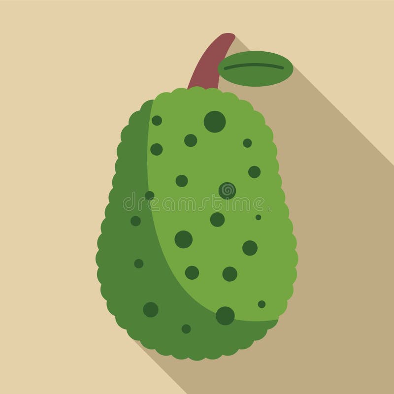 Green Jackfruit Showing Its Seeds with Long Shadow Stock Illustration ...