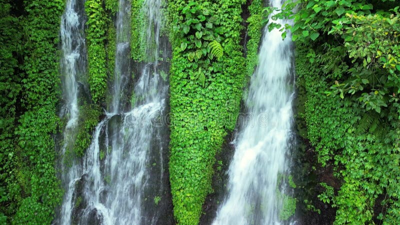 Green Jagir Waterfall on Java Island Stock Video - Video of natural ...