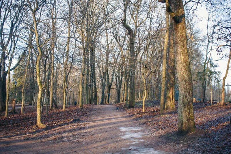 Green 1 January stock photo. Image of versatile, park - 83428548