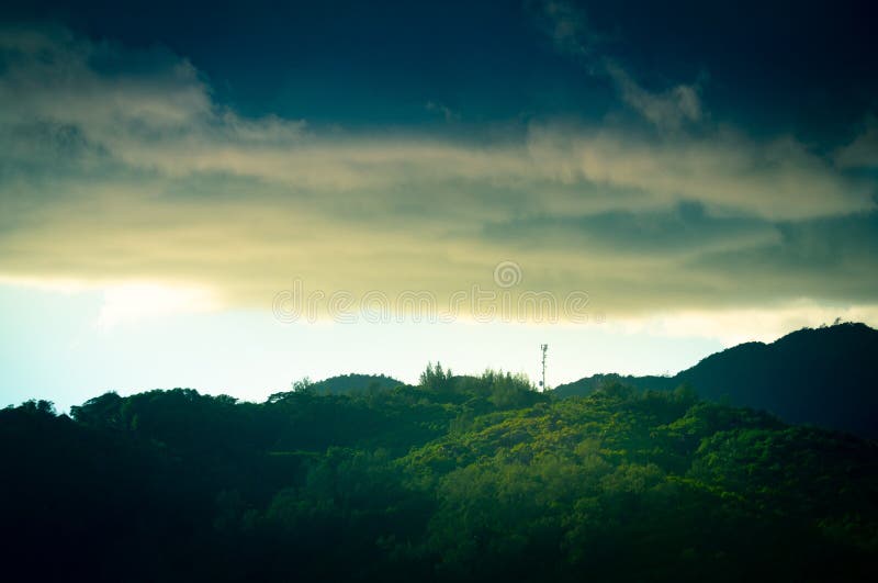 Green Jungle Canopy with Communication Tower and Cloudy Sky in T Stock ...