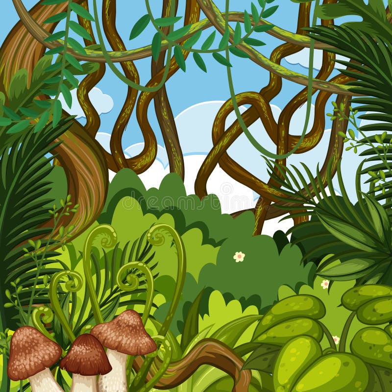 Cartoon Jungle Landscape Stock Illustrations – 7,120 Cartoon Jungle ...