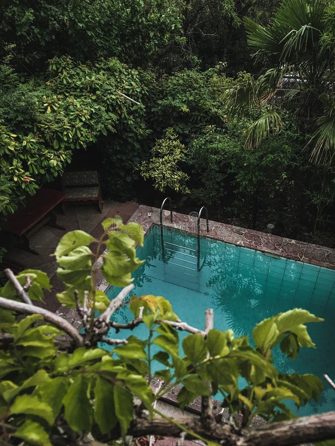 Green Jungle Swimming Pool stock image. Image of spring - 198977239