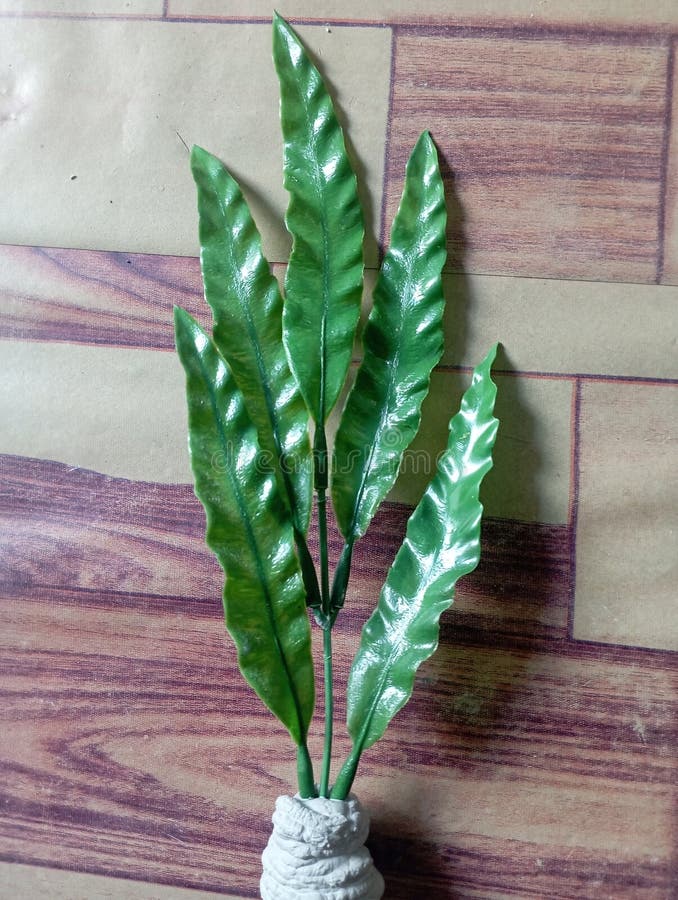 Green Kadaka Artificial Plant for Aquarium Stock Photo - Image of ...