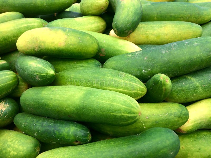 Kakadi Photos - Free & Royalty-Free Stock Photos from Dreamstime