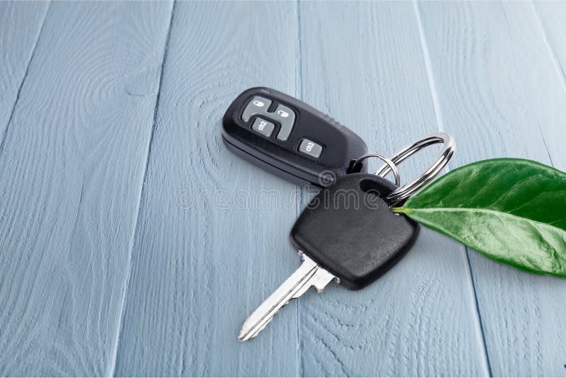 Car Key with Green Leaf As Trinket on Stock Image - Image of lock, leaf ...