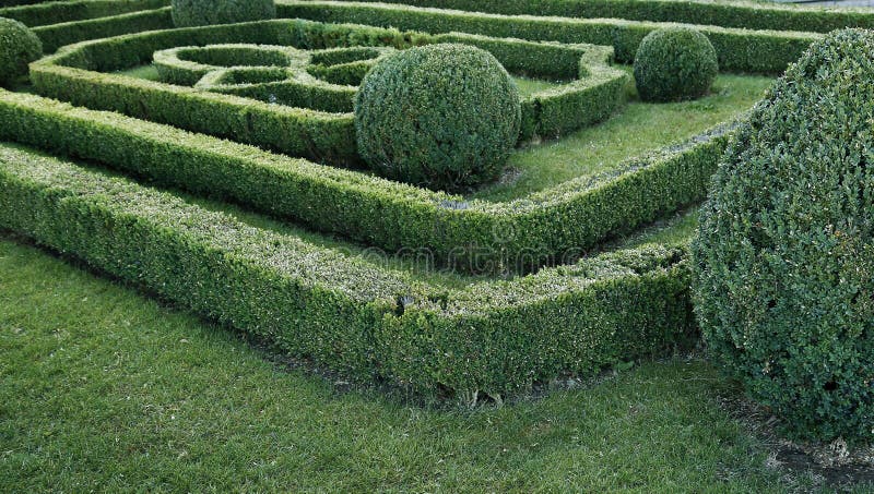 Green maze stock photo. Image of plan, patterned, garden - 37763704