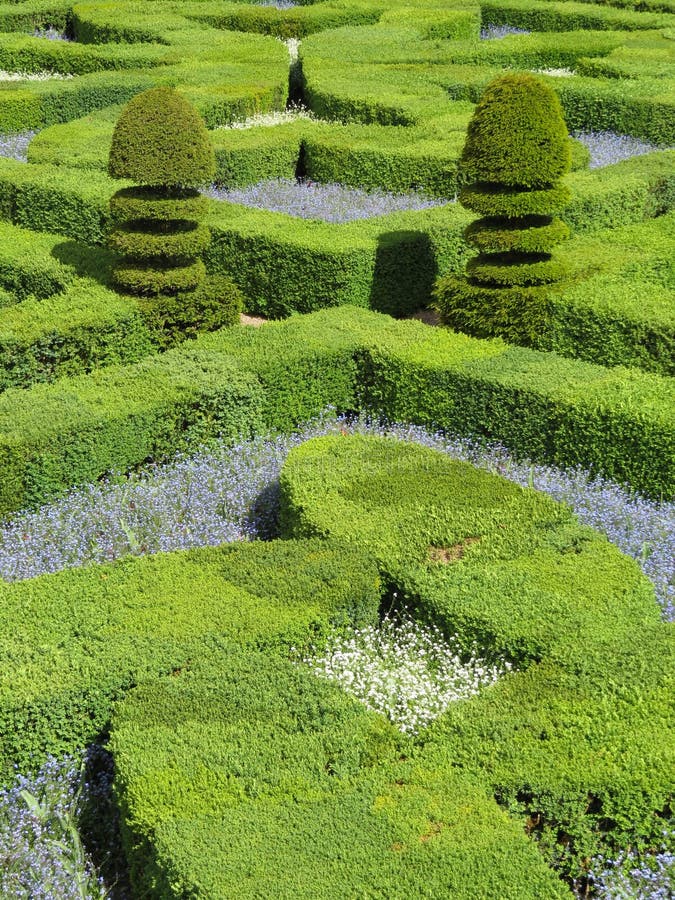 Green labyrinth stock photo. Image of herb, hedge, grass - 62132078