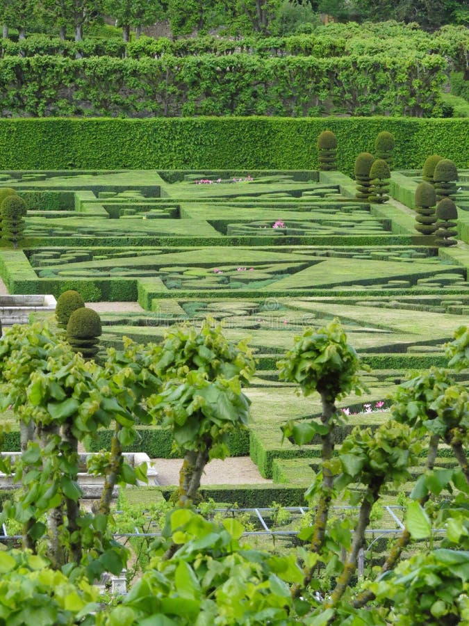 Green labyrinth stock image. Image of ornate, difficulty - 67195389