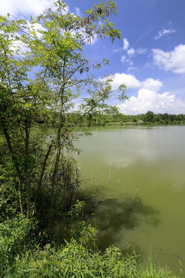 Green lake stock image. Image of picnic, lake, lightness - 14821911