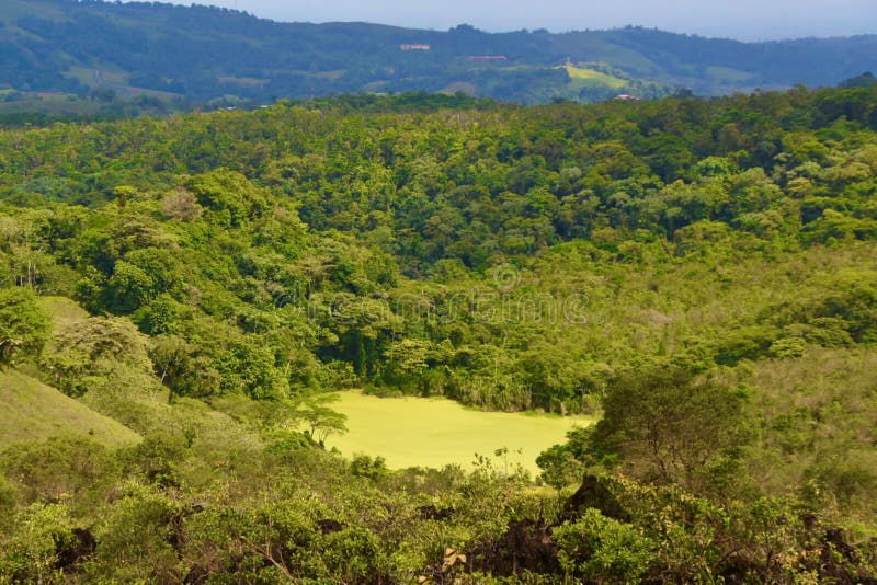 Green Lake in the Forest of Costa Rica Stock Image - Image of lake ...