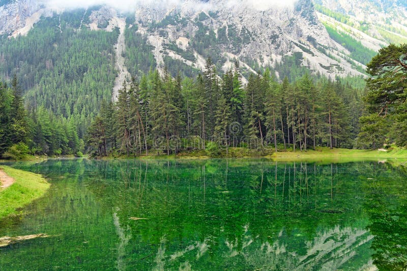 Green lake water stock image. Image of decorative, alge - 99754869