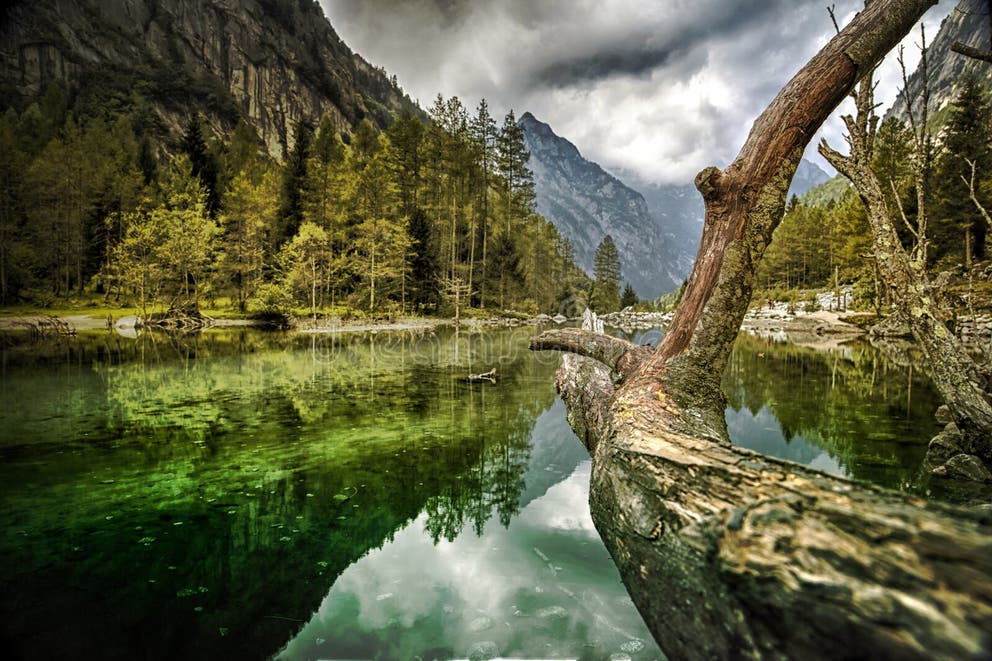 Green lake view stock image. Image of recreation, summer - 99530939