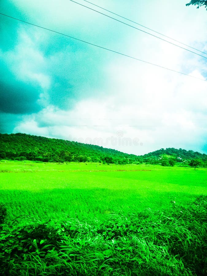 Green land stock image. Image of greenery, land, green - 124477881