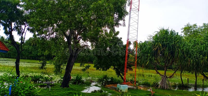 Green Land with Pond and Green Trees Stock Image - Image of pond, land ...
