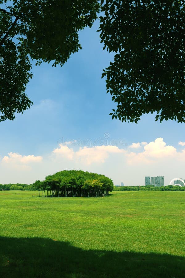 Green land stock photo. Image of outdoor, grass, green - 43299722