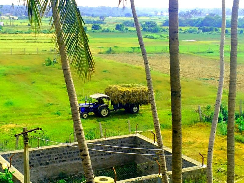 Green land stock image. Image of tractor, round, land - 104454775