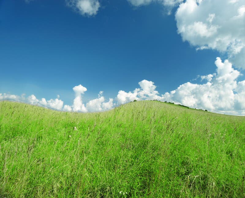 Green landscape stock image. Image of scene, landscape - 10791571