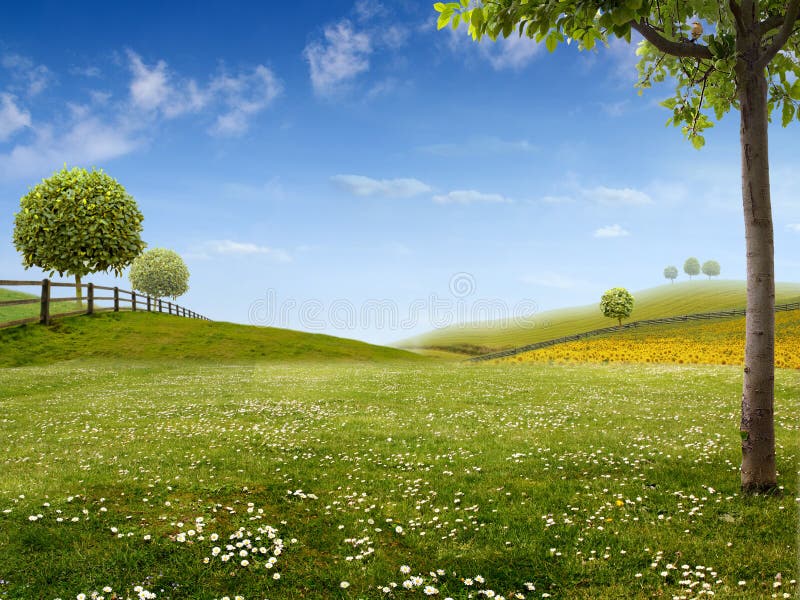 Green Landscape stock image. Image of ground, country - 19982035