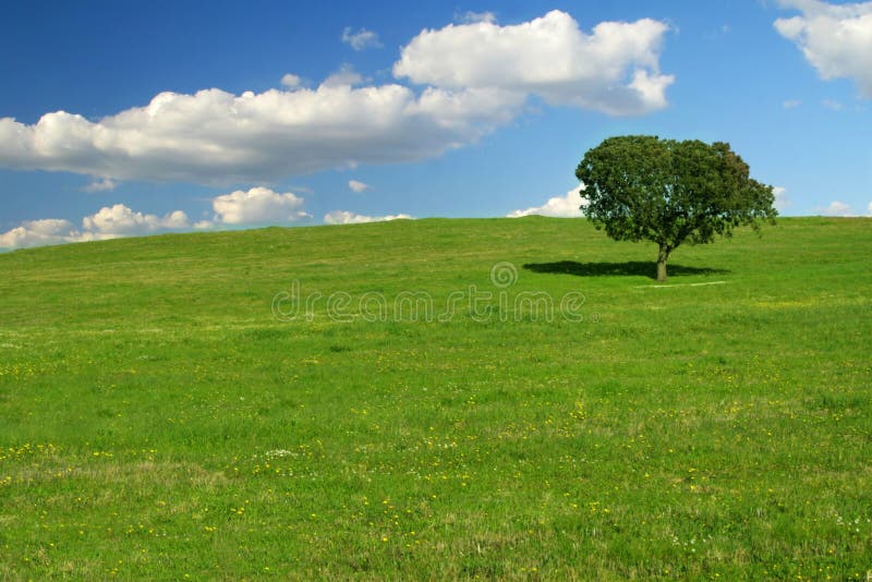 Windows Xp Paradise Stock Photos - Free & Royalty-Free Stock Photos ...