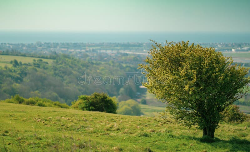 Green Landscape with a Beautiful View Stock Photo - Image of light ...