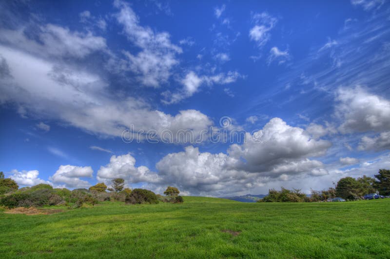 Green Landscape and Blue Sky Stock Photo - Image of life, open: 8539692