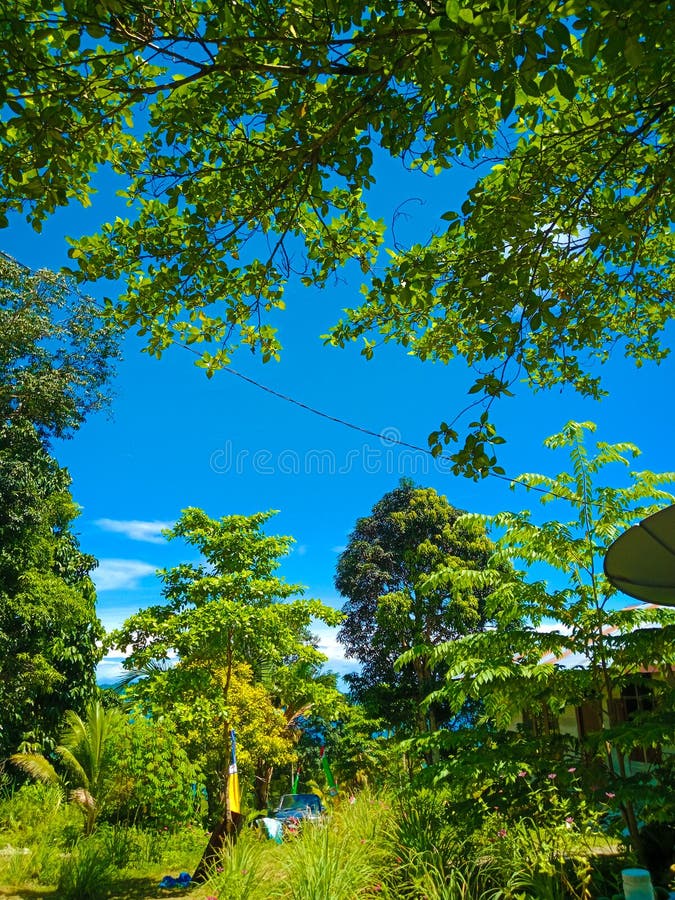 Green Landscape during the Day Stock Image - Image of scenery ...