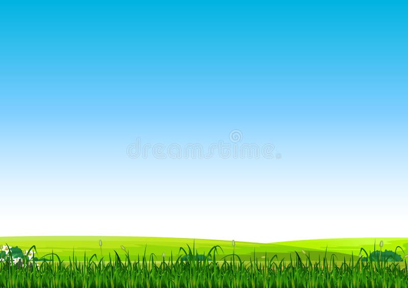 Green Landscape Grass Field View Cartoon Stock Illustration ...