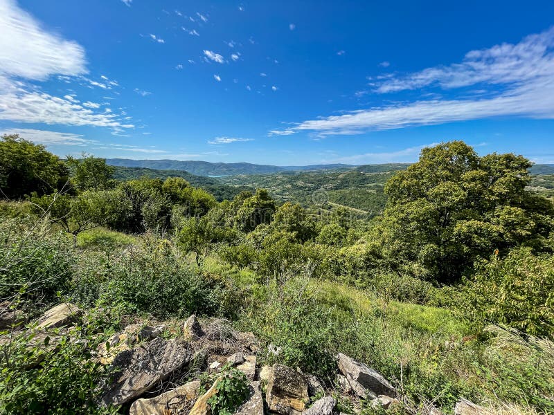 Green Landscape on the Istria Peninsula in Croatia Stock Photo - Image ...
