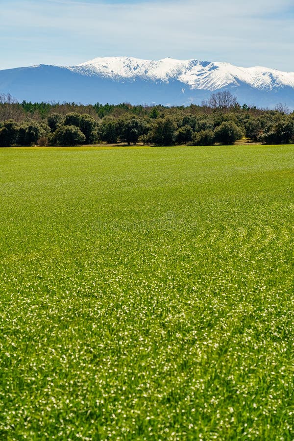 Green Landscape with Mountains and Trees, Great Copyspace To Write Text ...