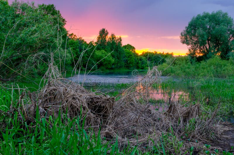 Sunset after storm stock image. Image of forest, tree - 114034845
