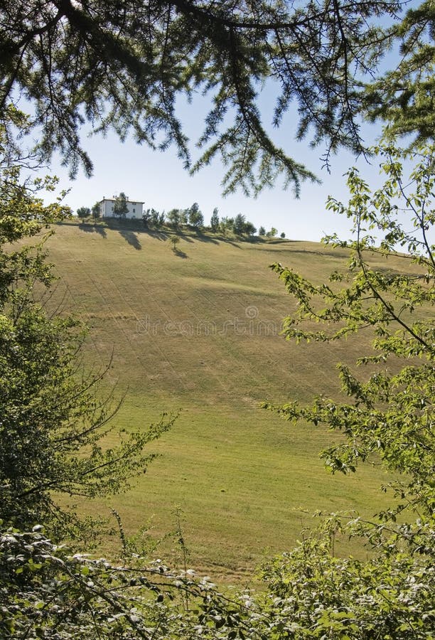 Green landscape scenary stock photo. Image of hills, hill - 32685348