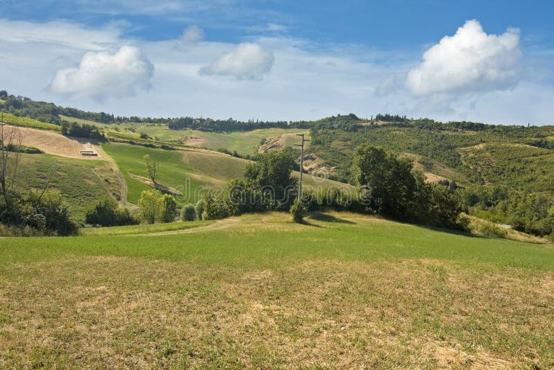 Green landscape scenary stock photo. Image of countryside - 32784588