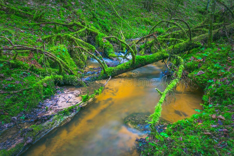 Green Landscape with Small River in the Forests Stock Image - Image of ...