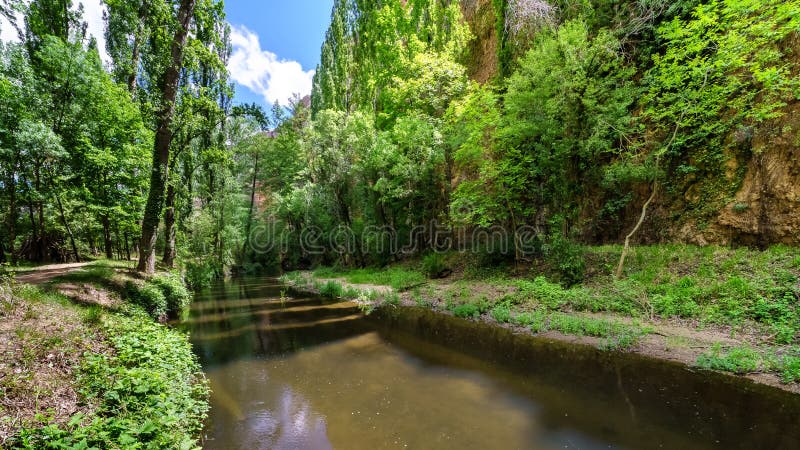 Green Landscape with Stream between the Trees, Reflections in the Water ...