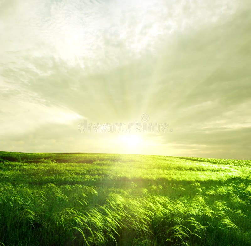Green landscape stock photo. Image of horizon, clear - 13696034