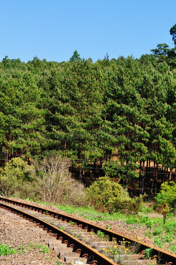Green Landscape, a Train Track in the Countryside Stock Image - Image ...