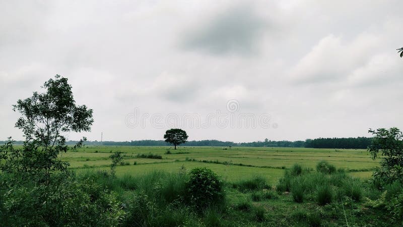 Green Landscape View and Cloudy Weather Stock Photo - Image of view ...
