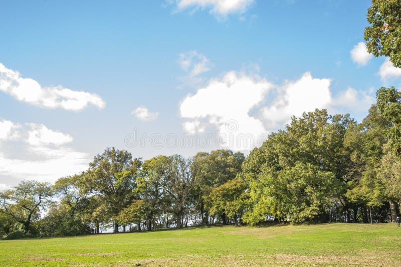 Green landscape stock photo. Image of scenery, lonely - 233614962