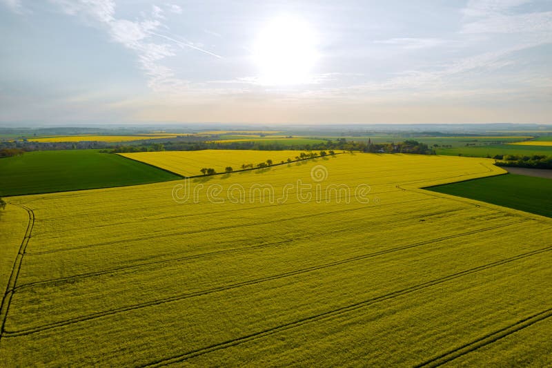 Green Large Fields, Tracks from a Tractor in the Field. Stock Photo ...