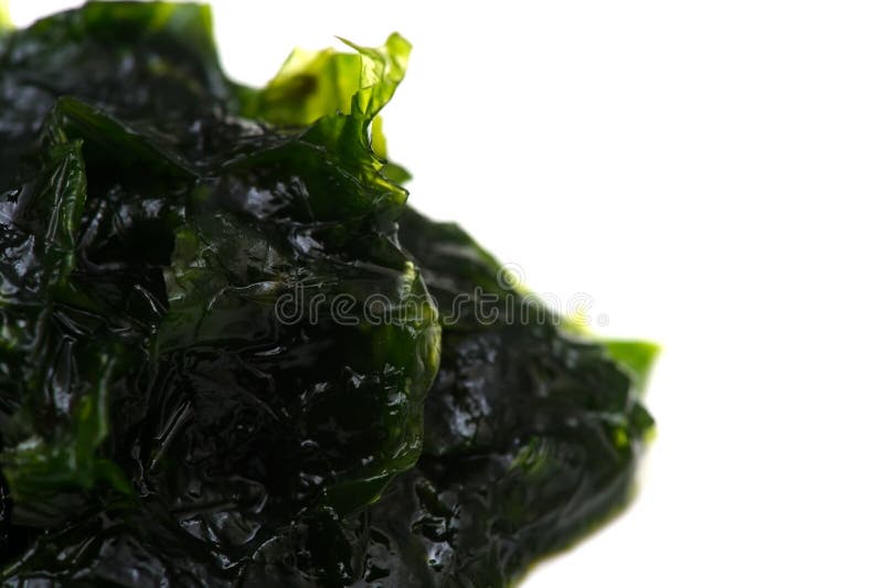 1,770 Green Laver Stock Photos - Free & Royalty-Free Stock Photos from ...