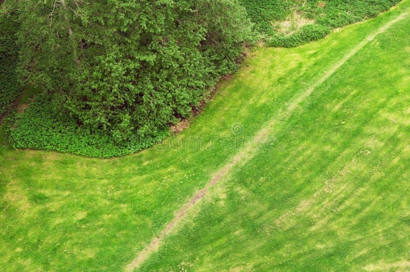 24,089 Green Grass Lawn Top View Stock Photos - Free & Royalty-Free ...