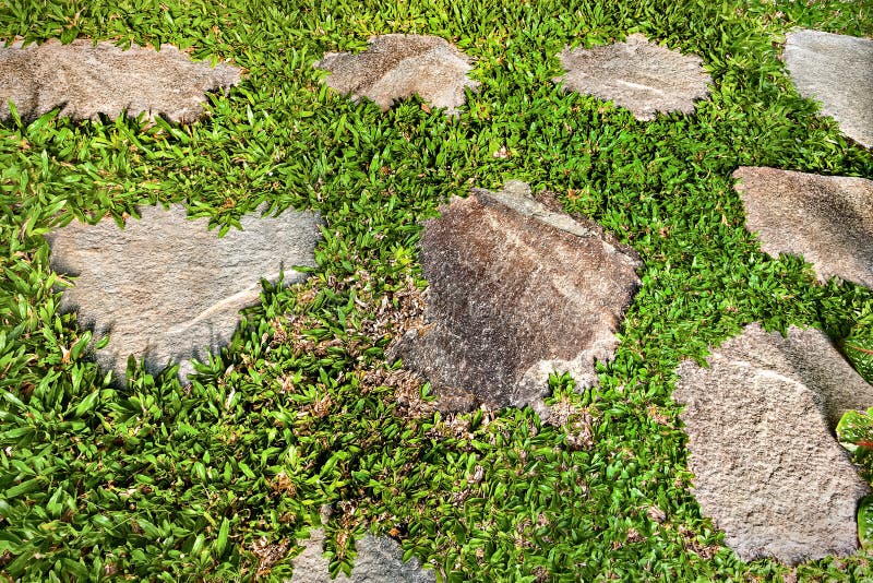 Green Lawn Closeup Which Attached Rocks on the Floor Stock Image ...