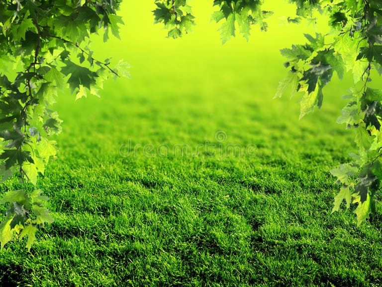 Lawn in the spring stock image. Image of landscape, ground - 111838969