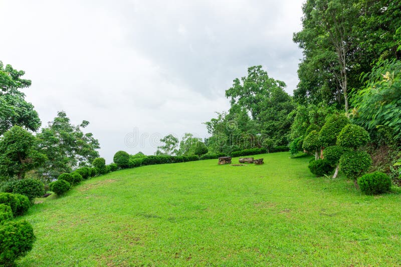 Green Lawn in Garden with Rain Cloud Stock Image - Image of feature ...