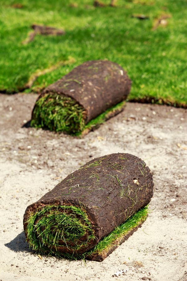 Green lawn grass in rolls stock image. Image of brown - 94474361