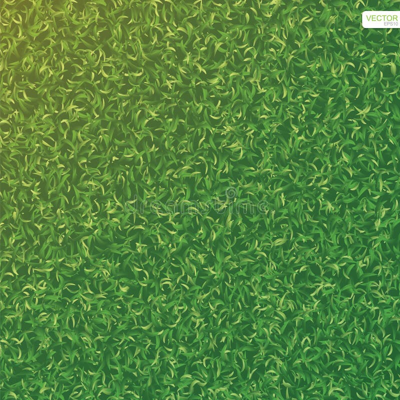 Grass Continuous Texture Stock Illustrations – 383 Grass Continuous ...