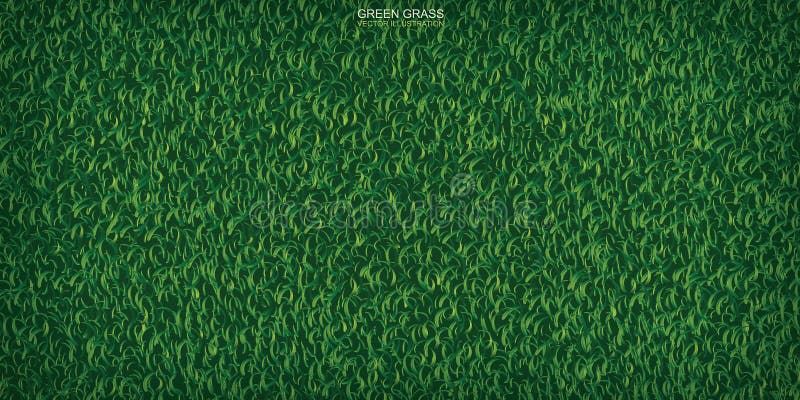 Grass Continuous Texture Stock Illustrations – 383 Grass Continuous ...